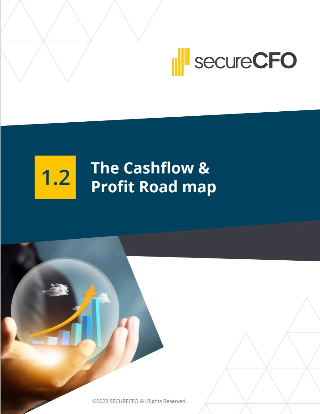1.2 The Cash Flow & Profit Road-Map - SecureCFO