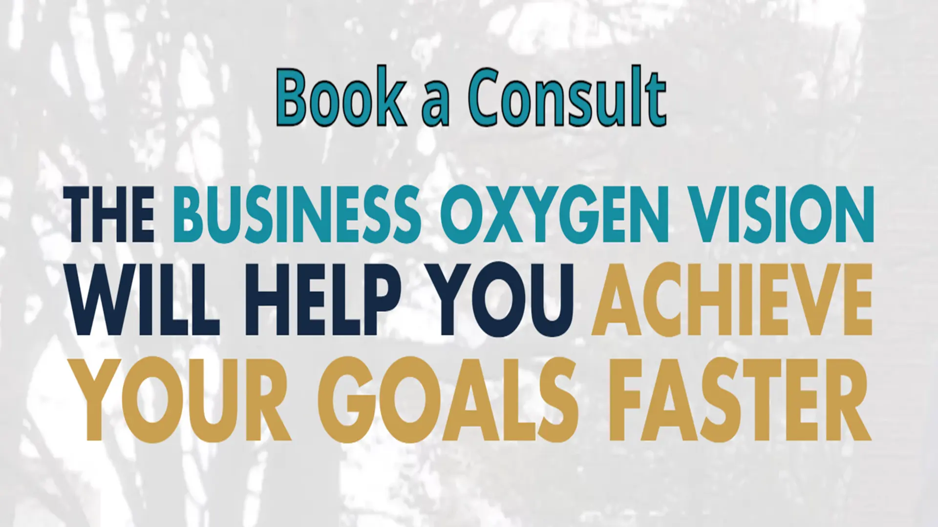 Book A Consult: Secure Your Success With Expert Guidance 10x